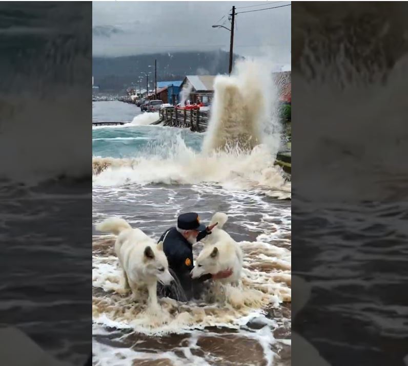 Animals’ Heartfelt Warning to Humans – A Message We Can’t Ignore ...