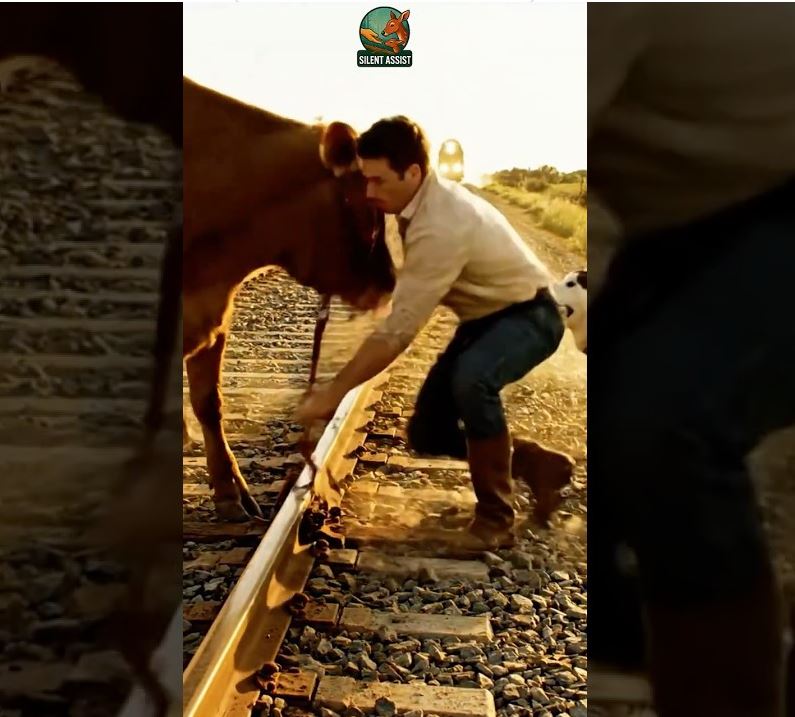 A farmer rescues a trapped cow... - DAILY NEWS