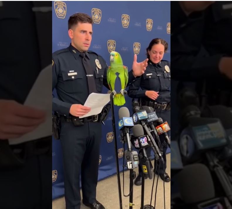 The Funniest Moments: Smart Parrot vs. Friendly Police Officer - DAILY NEWS